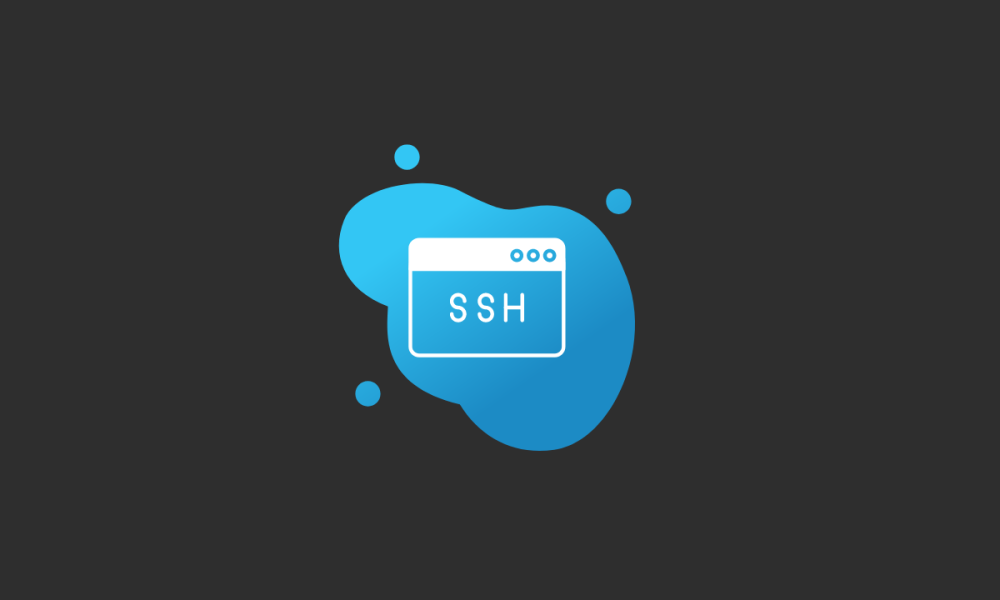 How to Connect to a VPS using SSH Key with Putty? - Delimiter Online